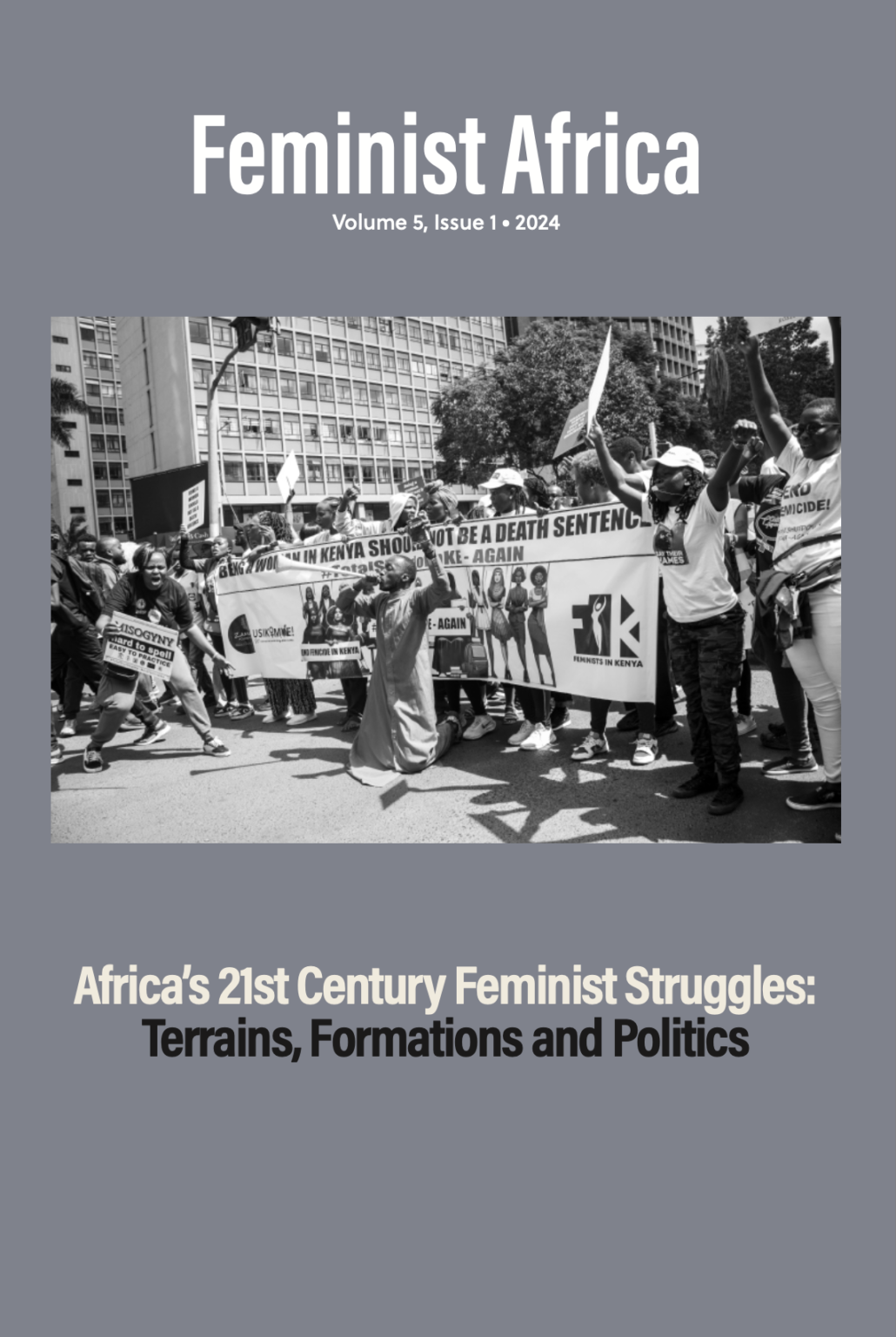 Feminist Africa Volume 5, Issue 1 (2024) Africa's 21st Century Feminist ...